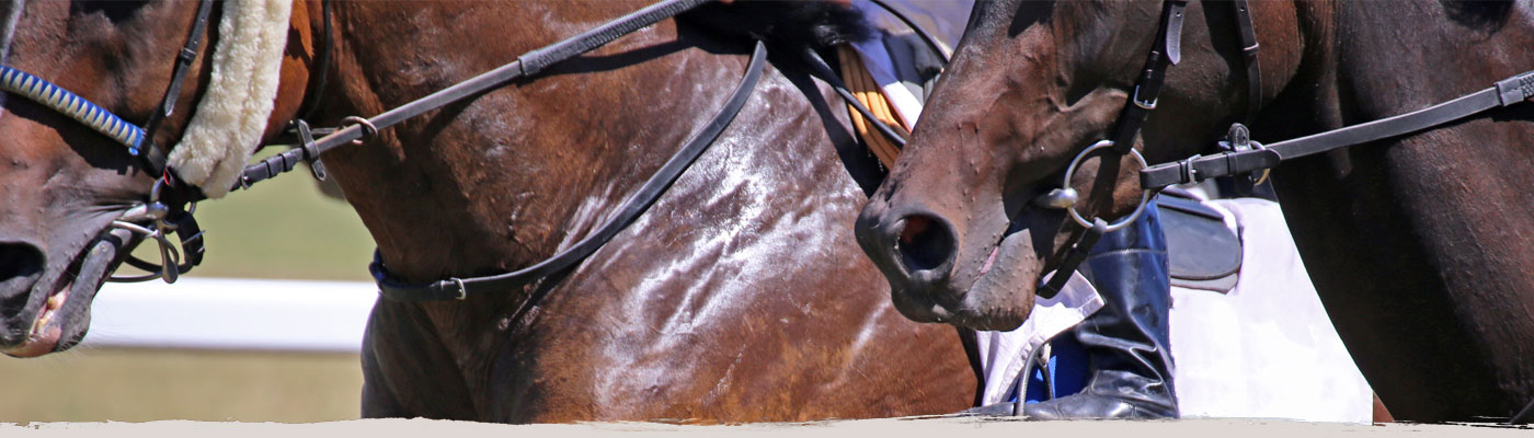 Rules & Regulations – California Thoroughbred Trainers